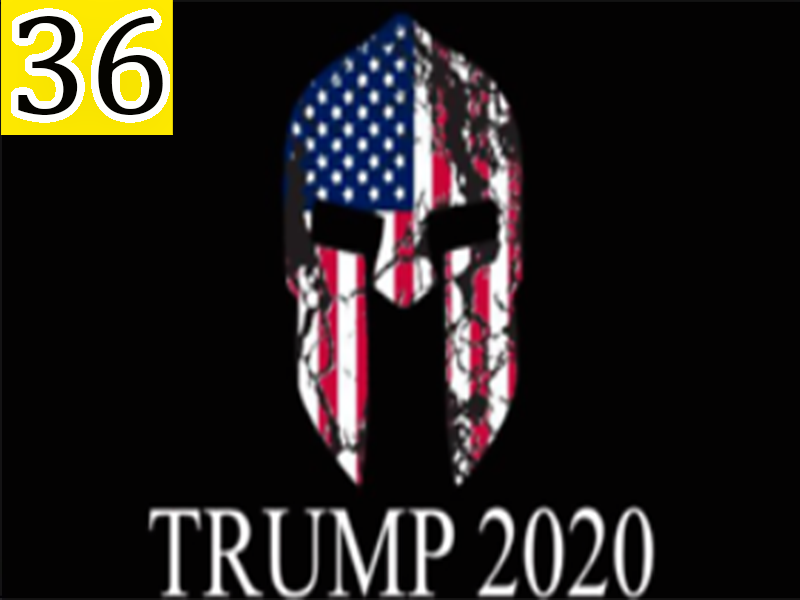 Trump 2020 American Knight Flag – Trump Gear - Signs, Flags and More!